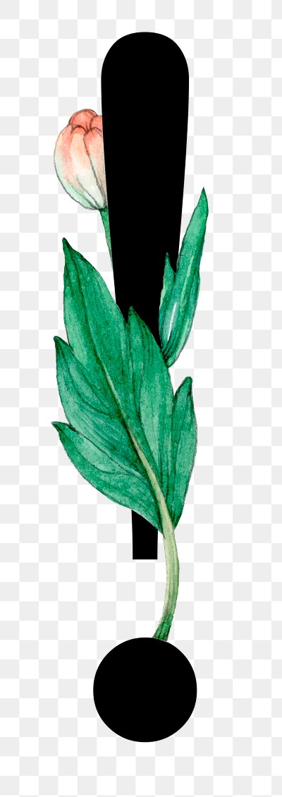 Png exclamation symbol floral typography | Premium PNG Sticker - rawpixel