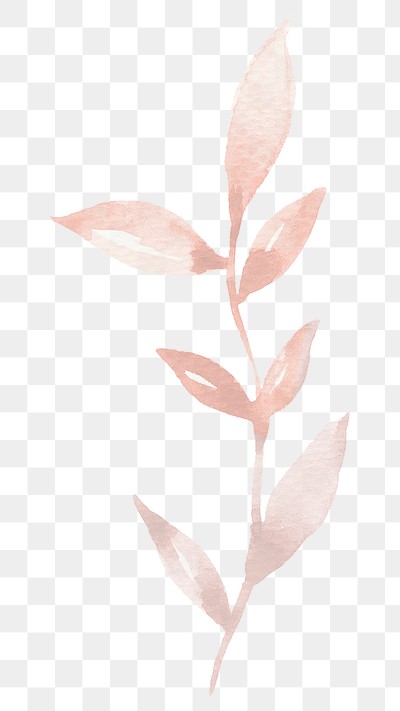 Luxury rose gold leaf png | Premium PNG Sticker - rawpixel