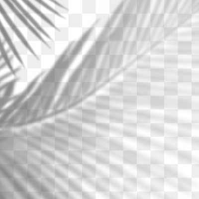 PNG palm tree shadow design | Premium PNG - rawpixel