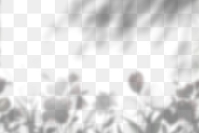 Png plant shadow background, botanical | Premium PNG - rawpixel