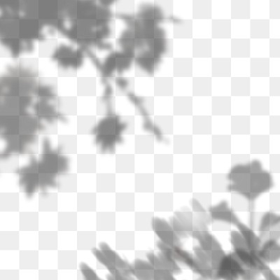 Png flower shadow background, botanical | Free PNG - rawpixel