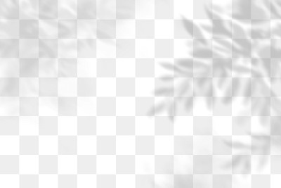 Png plant shadow background, botanical | Free PNG - rawpixel