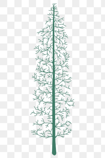 Cute pine tree sticker design | Premium PNG Sticker - rawpixel