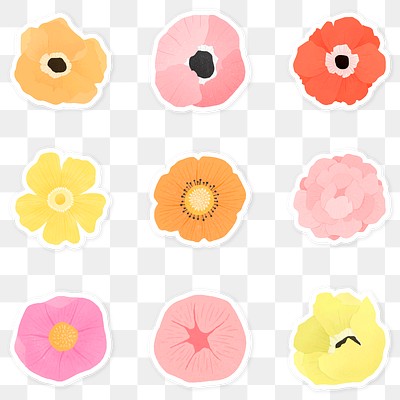 Colorful floral sticker set transparent | Premium PNG - rawpixel