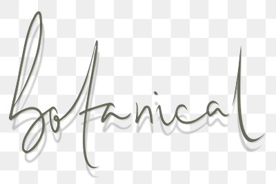 Green botanical handwriting transparent png | Premium PNG Sticker ...