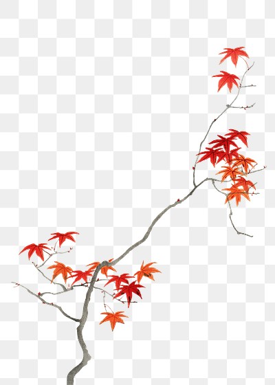 Traditional Japanese maple leaf ornamental | Free PNG Sticker - rawpixel