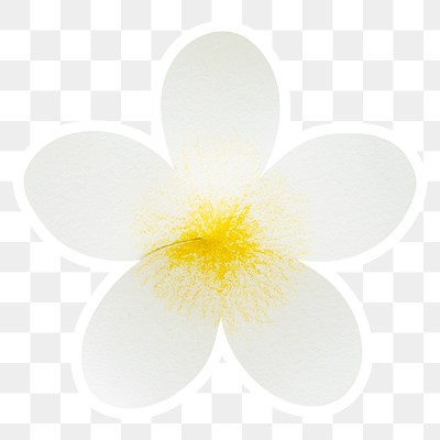Jasmine sticker paper craft png | Premium PNG Sticker - rawpixel