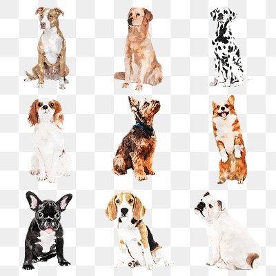 Watercolor dog png illustration set | Premium PNG - rawpixel