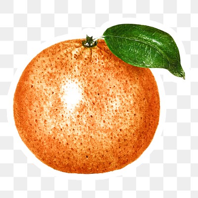 Hand colored orange sticker design | Premium PNG Sticker - rawpixel