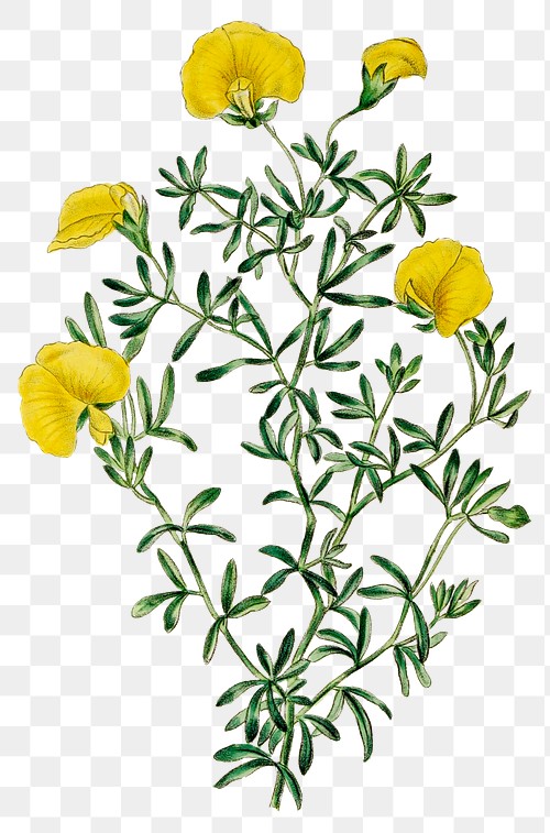 Wedge Images | Free Photos, PNG Stickers, Wallpapers & Backgrounds ...