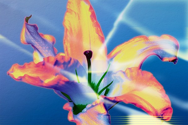 Prism Effect | Premium Photo Effects & Filters - rawpixel