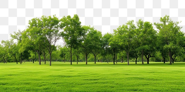 PNG Green park green landscape | Premium PNG - rawpixel