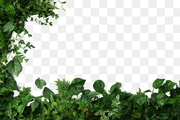 PNG Greenery backgrounds outdoors nature. | Premium PNG - rawpixel