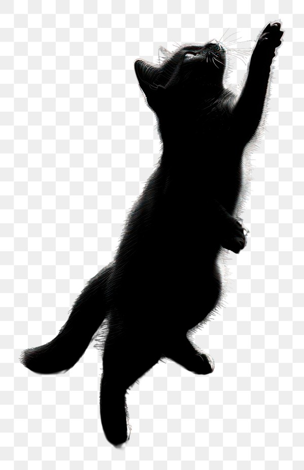 PNG Photography cat jumping moon | Premium PNG - rawpixel