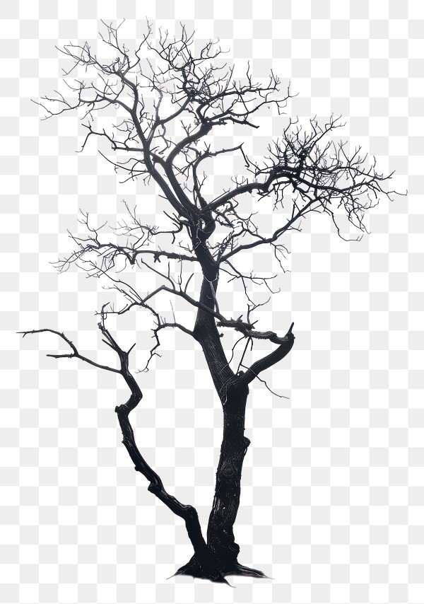 PNG Dead tree silhouette clip | Premium PNG - rawpixel