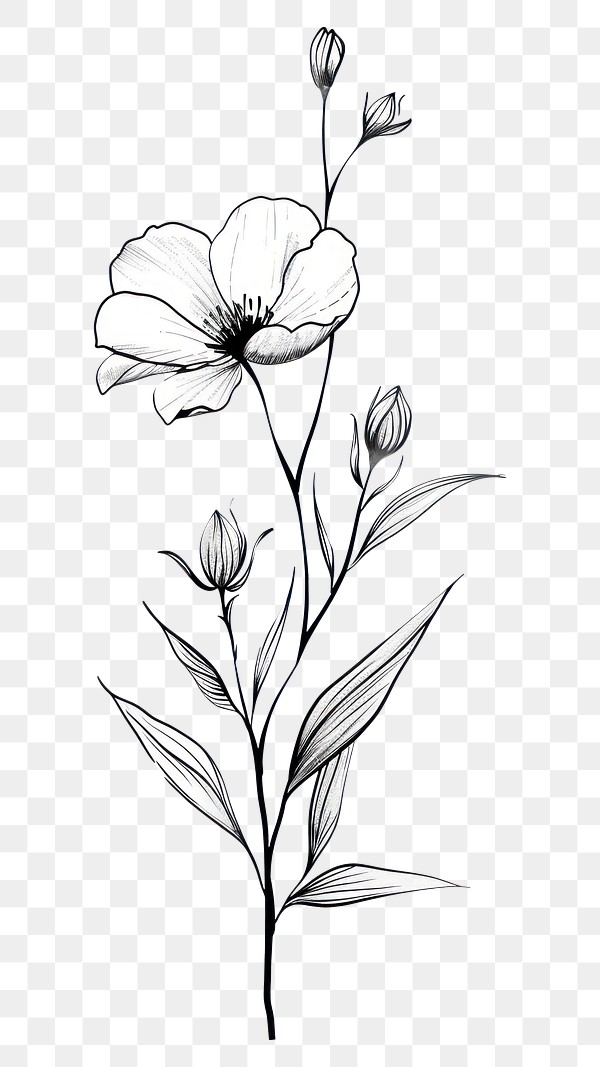 PNG Minimal line art Hand | Free PNG - rawpixel