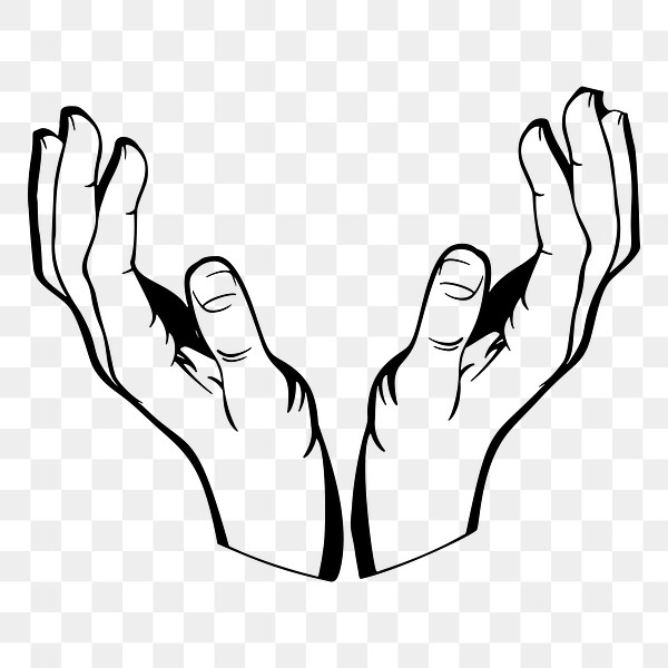 Cupping hands png sticker, transparent | Free PNG - rawpixel
