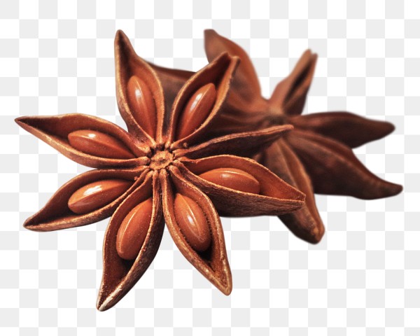 Star anise png sticker, food | Free PNG - rawpixel