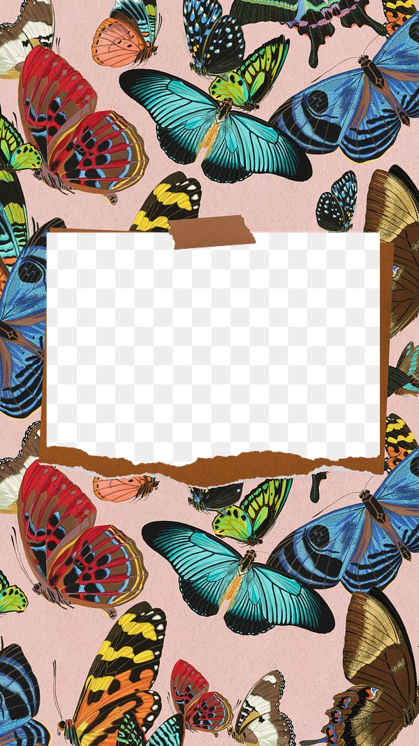 Vintage butterfly patterned png frame, | Premium PNG - rawpixel