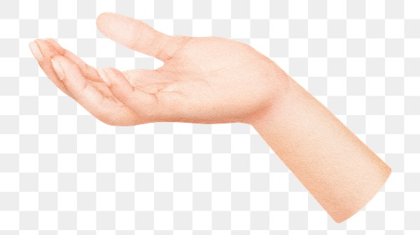 Woman's palm hand png sticker, | Premium PNG - rawpixel