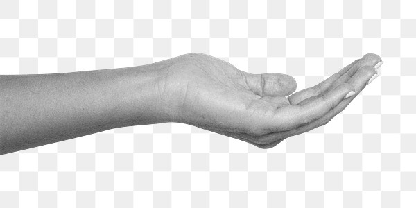 Empty palm png hand giving | Premium PNG - rawpixel