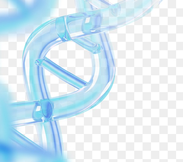 DNA helix png 3D border, | Premium PNG - rawpixel