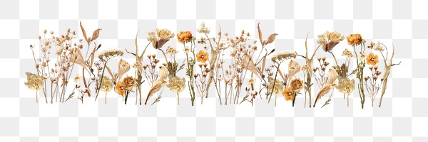 Autumn leaf branch png divider | Premium PNG - rawpixel