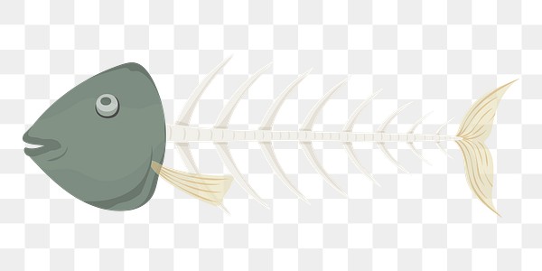 Fish bone png, transparent background | Premium PNG - rawpixel