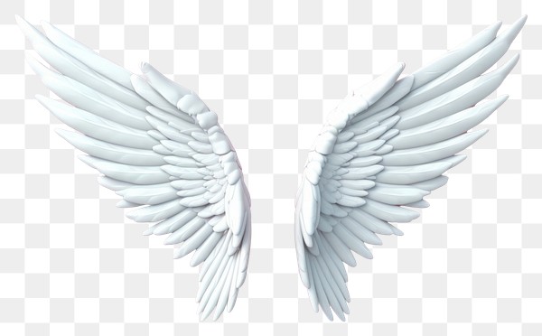 PNG Angel wing bird archangel. | Premium PNG - rawpixel