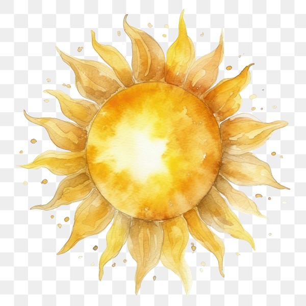 PNG Sun sunflower nature sky. | Premium PNG - rawpixel