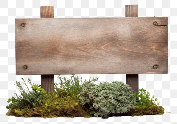 PNG Wood plant tree sign. | Premium PNG - rawpixel
