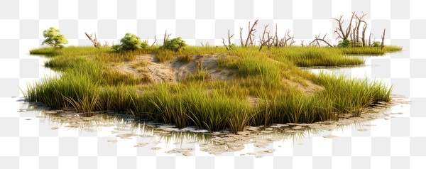 PNG Marsh landscape outdoors nature | Premium PNG - rawpixel
