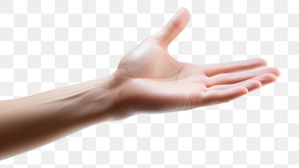 PNG Hand finger person adult. | Premium PNG - rawpixel