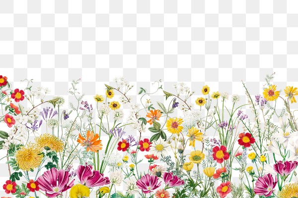 Spring flower border png aesthetic | Premium PNG - rawpixel