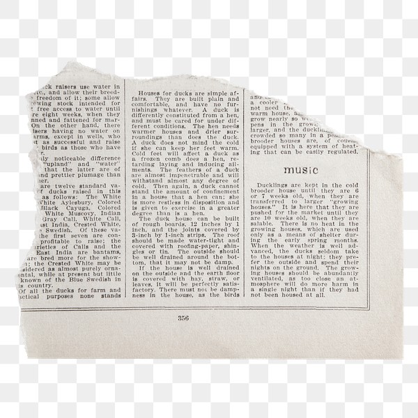 Ripped paper png collage element, | Premium PNG - rawpixel