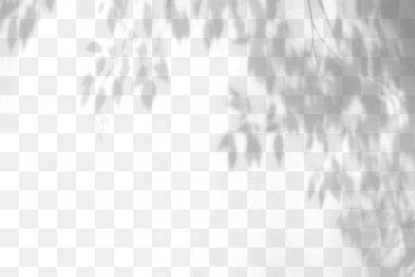 PNG Leaf shadow effect, transparent | Premium PNG - rawpixel