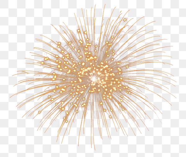 PNG Newyear firework fireworks outdoors | Premium PNG - rawpixel