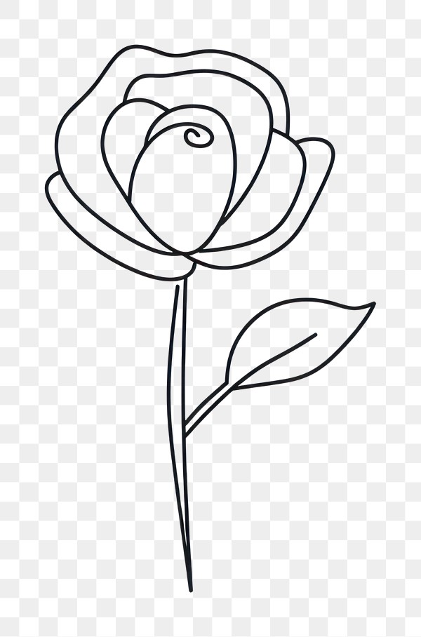PNG Minimal illustration rose drawing | Premium PNG - rawpixel