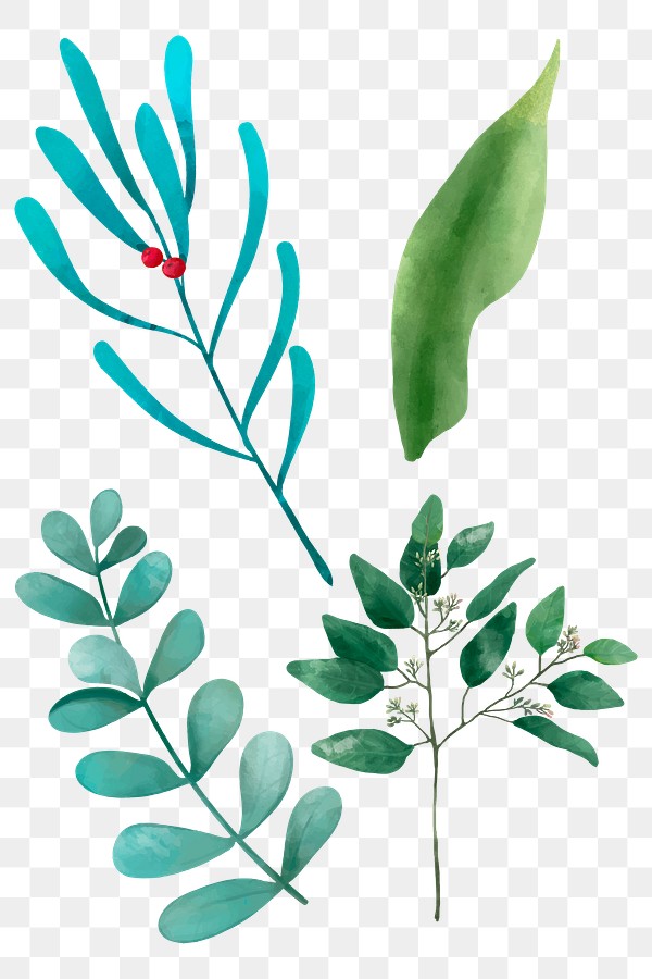 Green leaves sticker png watercolor | Premium PNG - rawpixel