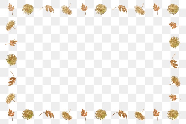 Gold leaves frame design element | Premium PNG - rawpixel