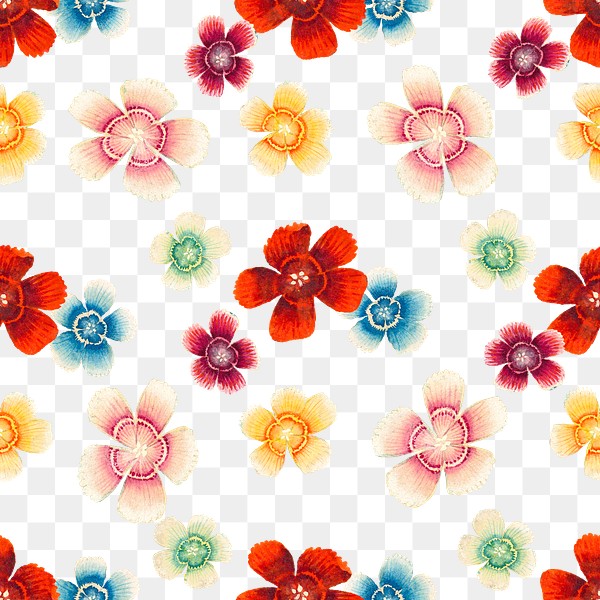 Floral seamless pattern png Sweet | Premium PNG - rawpixel