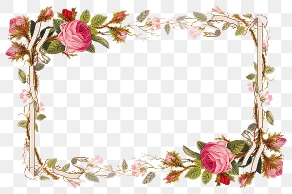 Vintage pink roses png border | Premium PNG - rawpixel