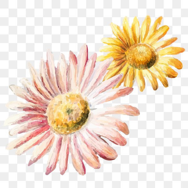 Daisy hand drawn sticker png | Premium PNG Sticker - rawpixel