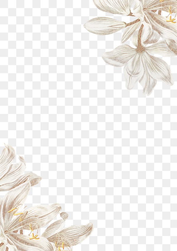 Vintage white lily flower frame | Premium PNG - rawpixel