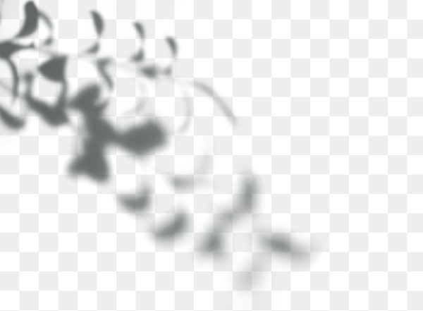 PNG Shadow leaves, transparent background | Premium PNG - rawpixel