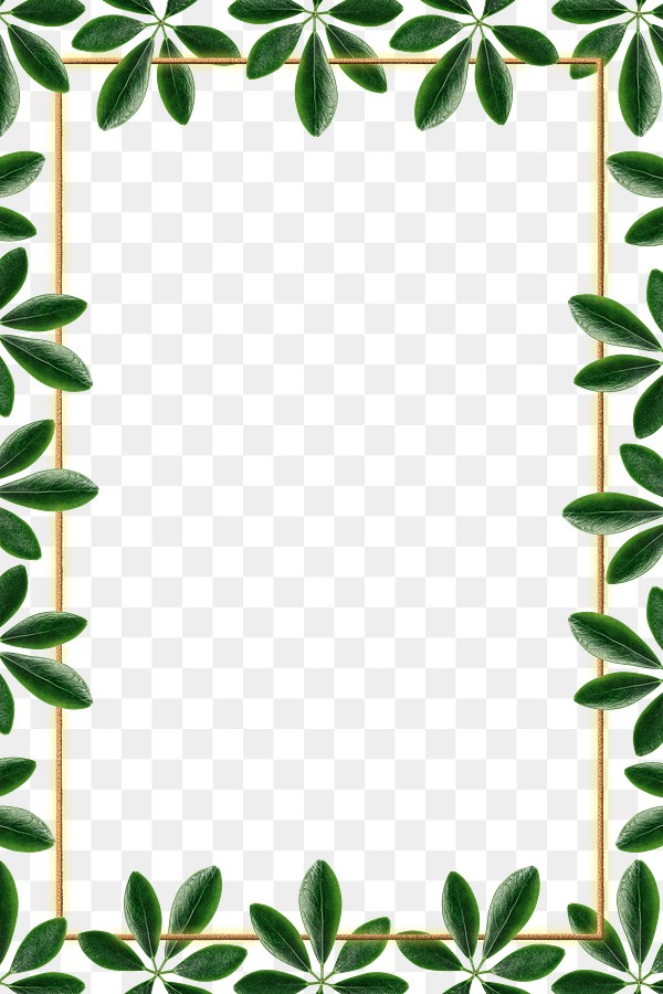 Green leaves rectangle frame design | Premium PNG - rawpixel