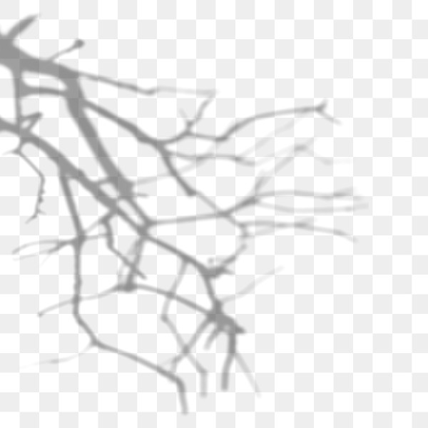 Dried branch shade design element | Premium PNG - rawpixel