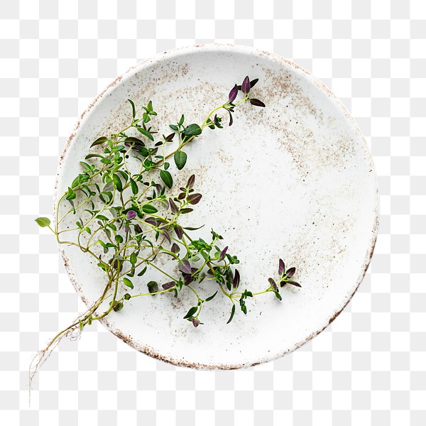 Png fresh thyme leaves on plate | Free PNG Sticker - rawpixel