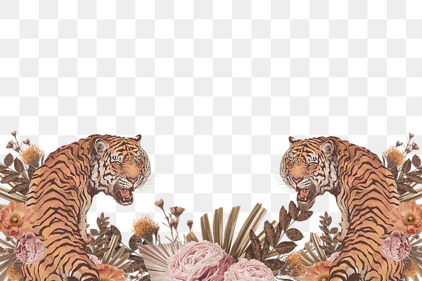Tiger border png clipart, transparent | Premium PNG - rawpixel