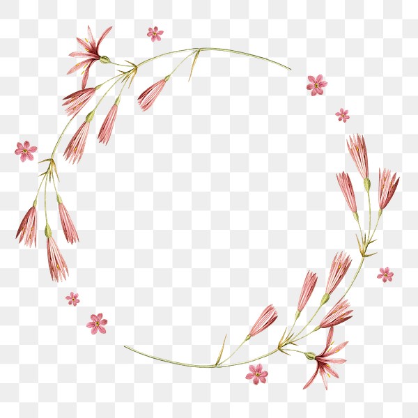 Round mixed flowers frame patterned | Premium PNG - rawpixel